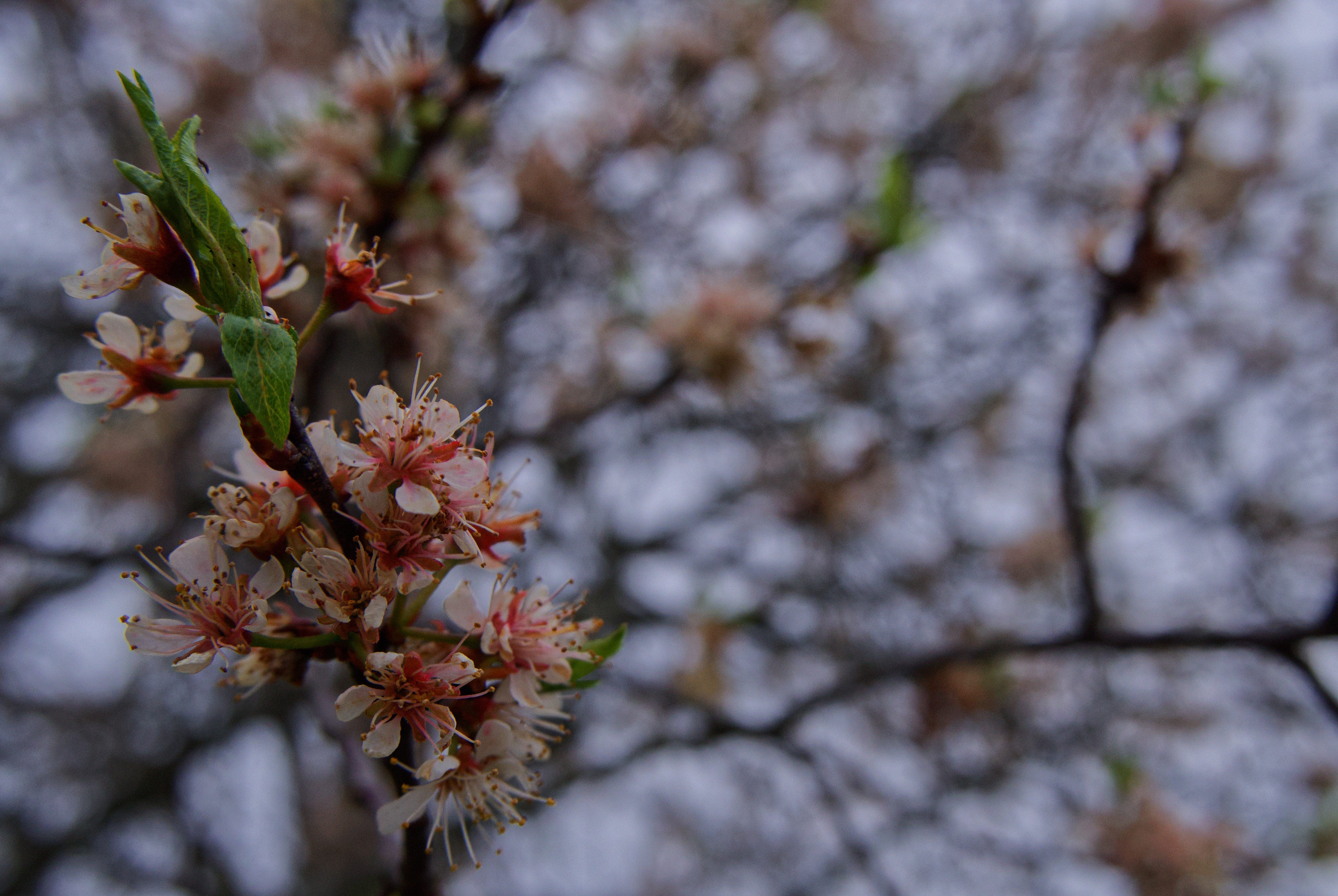 Keep Moving Forward - by Liam Healey