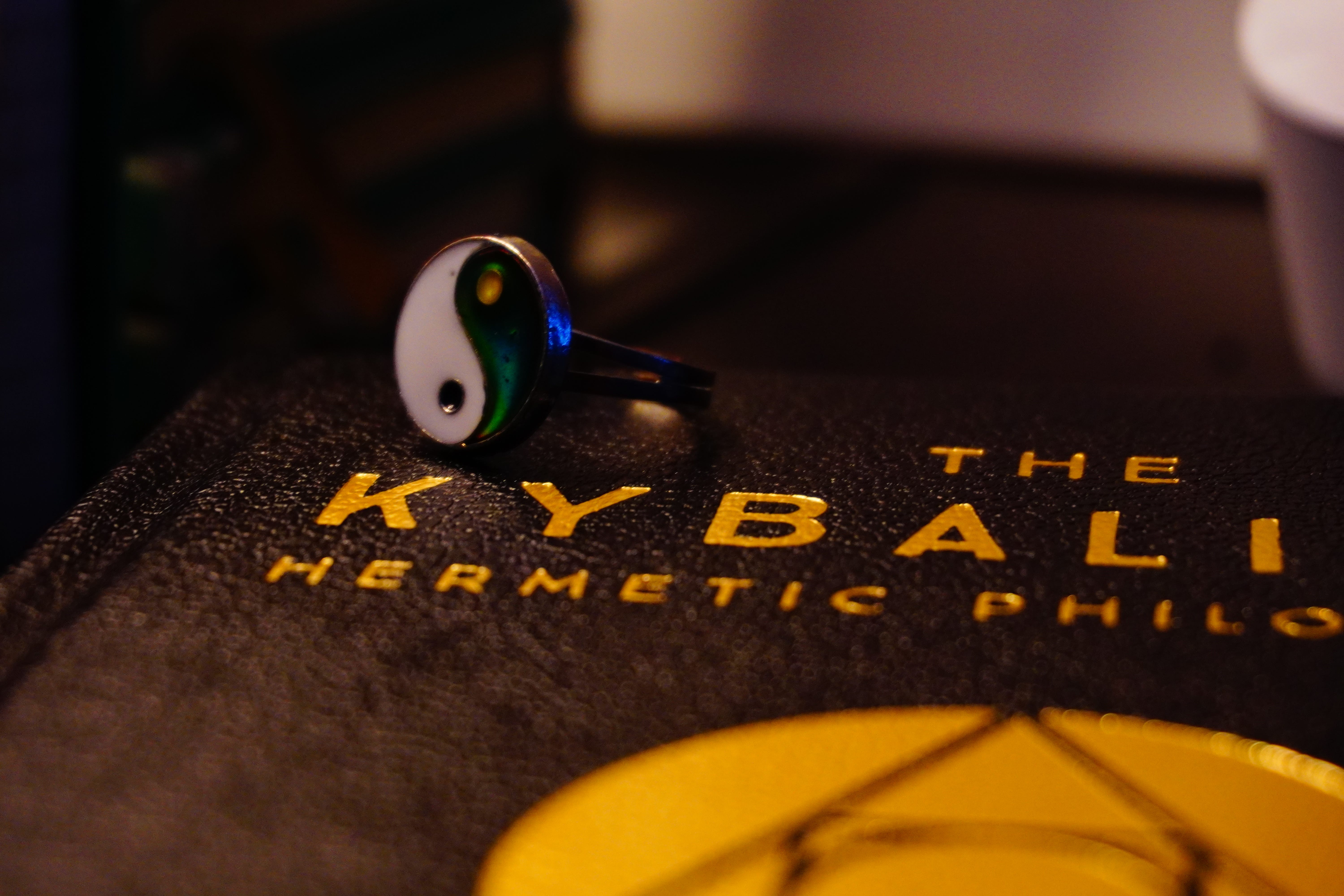 The Plague of Duality: The Importance of Holding The Divine Paradox