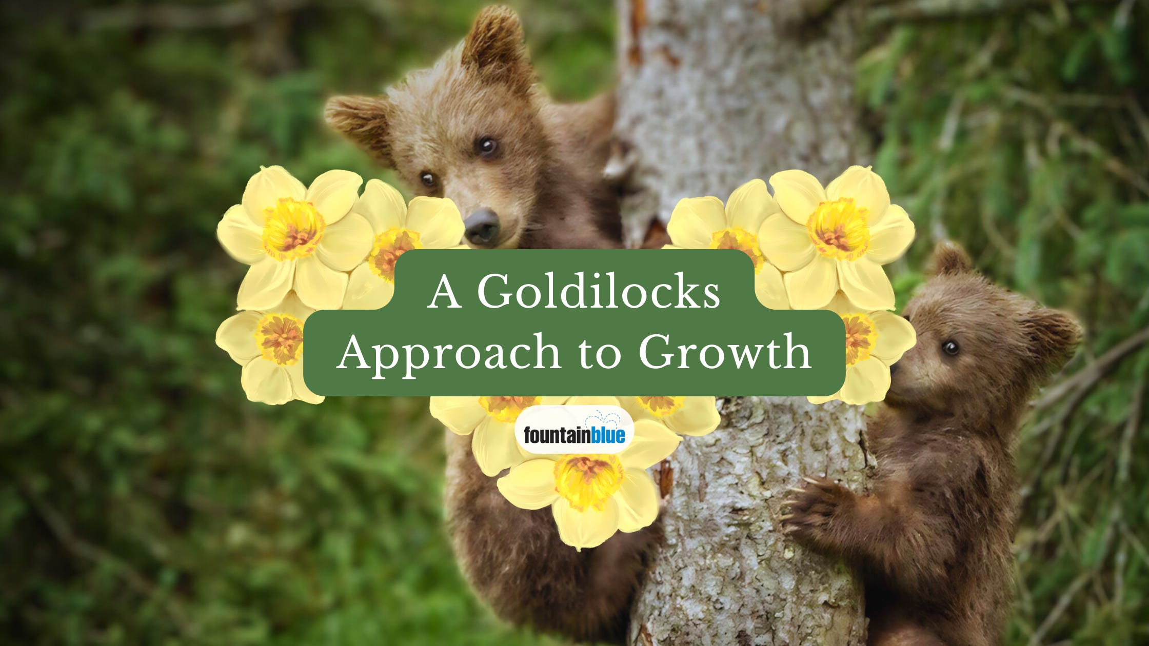 A Goldilocks Approach to Growth - by Linda Holroyd