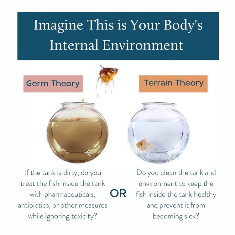 Contagion or Toxins? - by Kenneth Hemmler