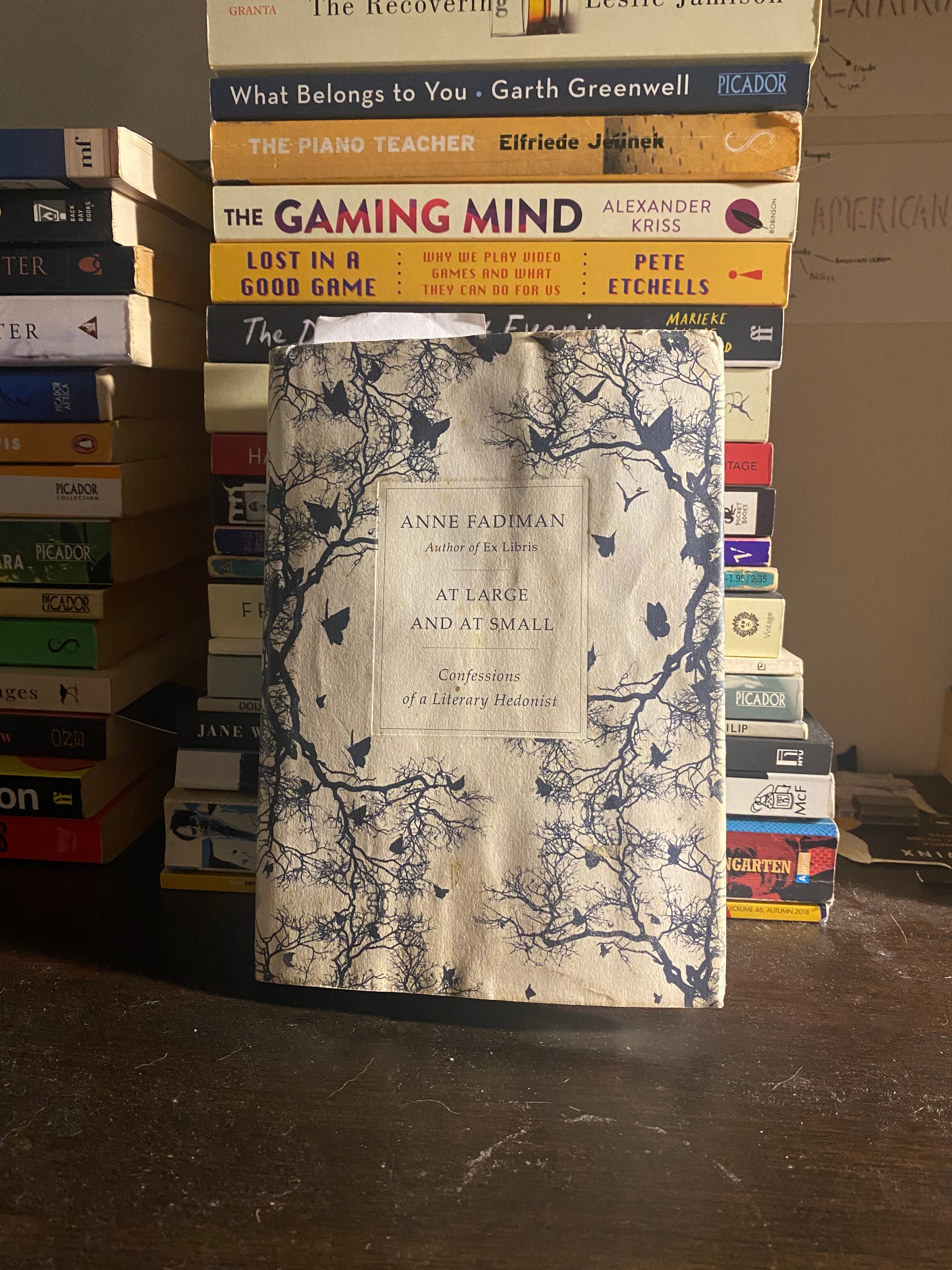 21 Snippets for 21 Years - by Niamh Ahern