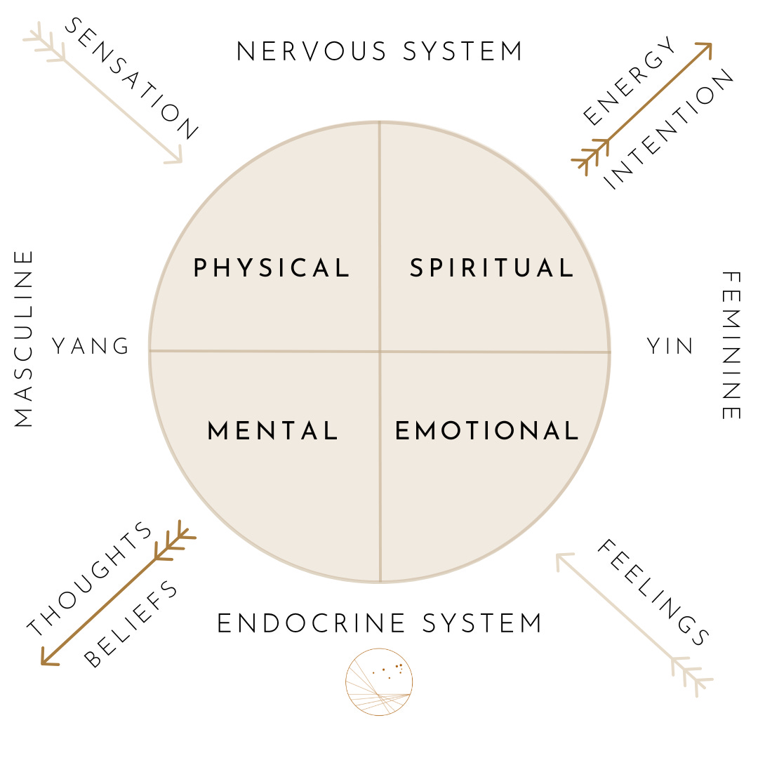 Unveiling Your Holistic Intelligence