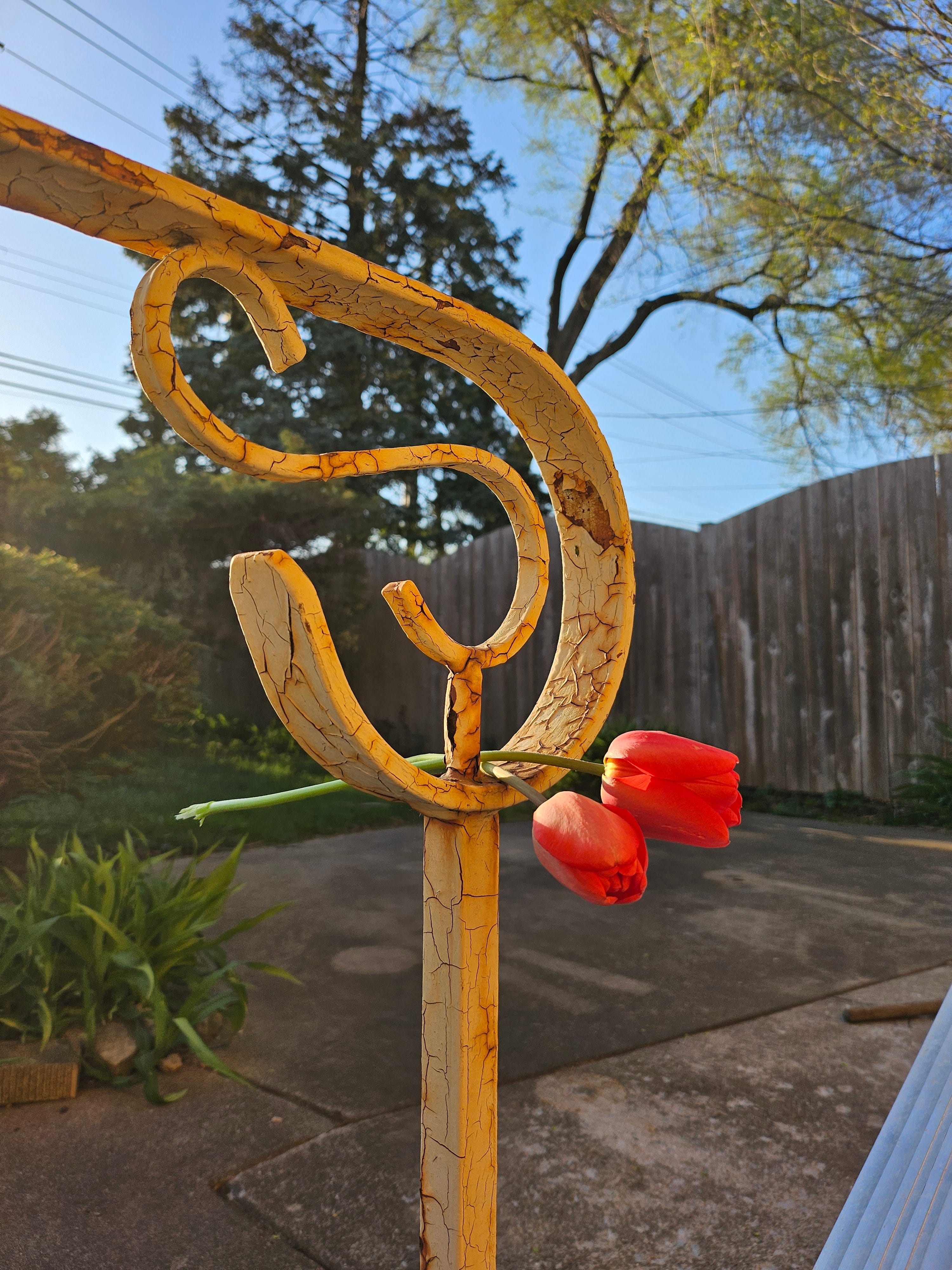 Entering A New Chapter - by Theo - Delicate Flower Studios