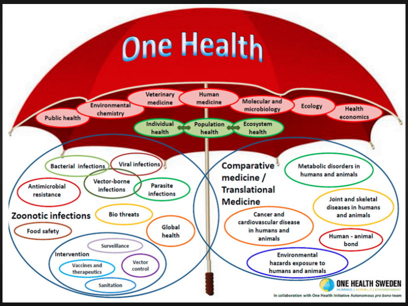 Thank you, Dr. Joe Sansone, for Your Determined and Courageous Work ...