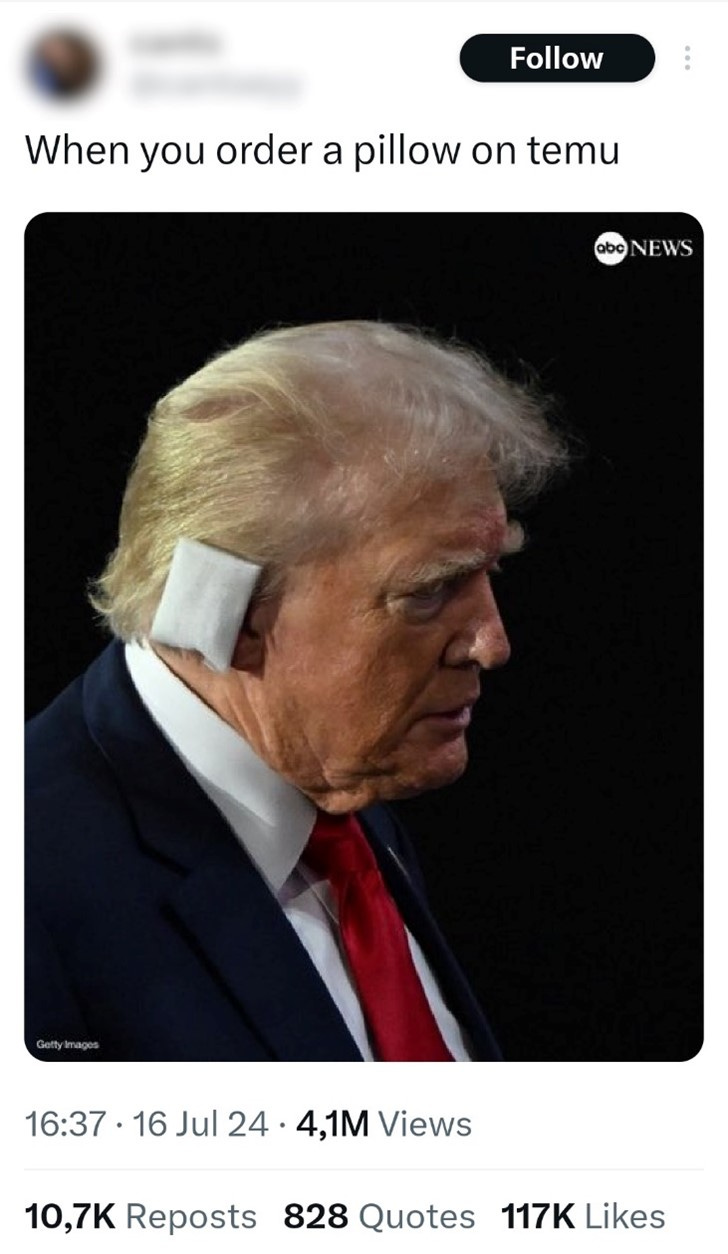 Temu Watch #2: Under Fire - Compliance and Complaints