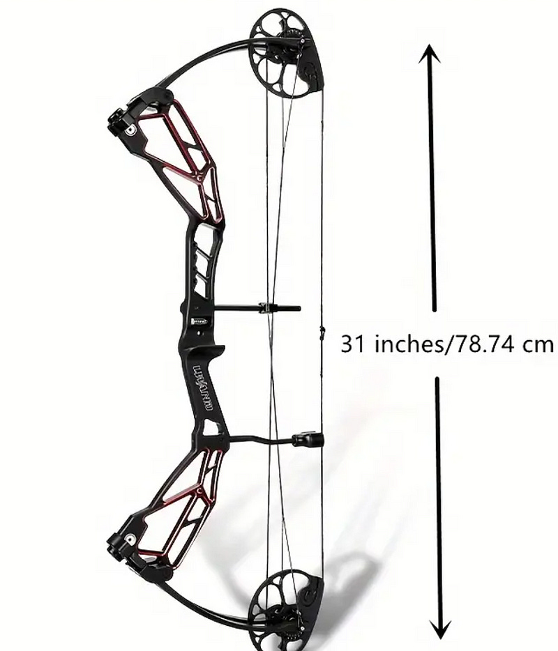 Top 10 Compound Bows on Temu with Big-Brand Quality at Half the Price