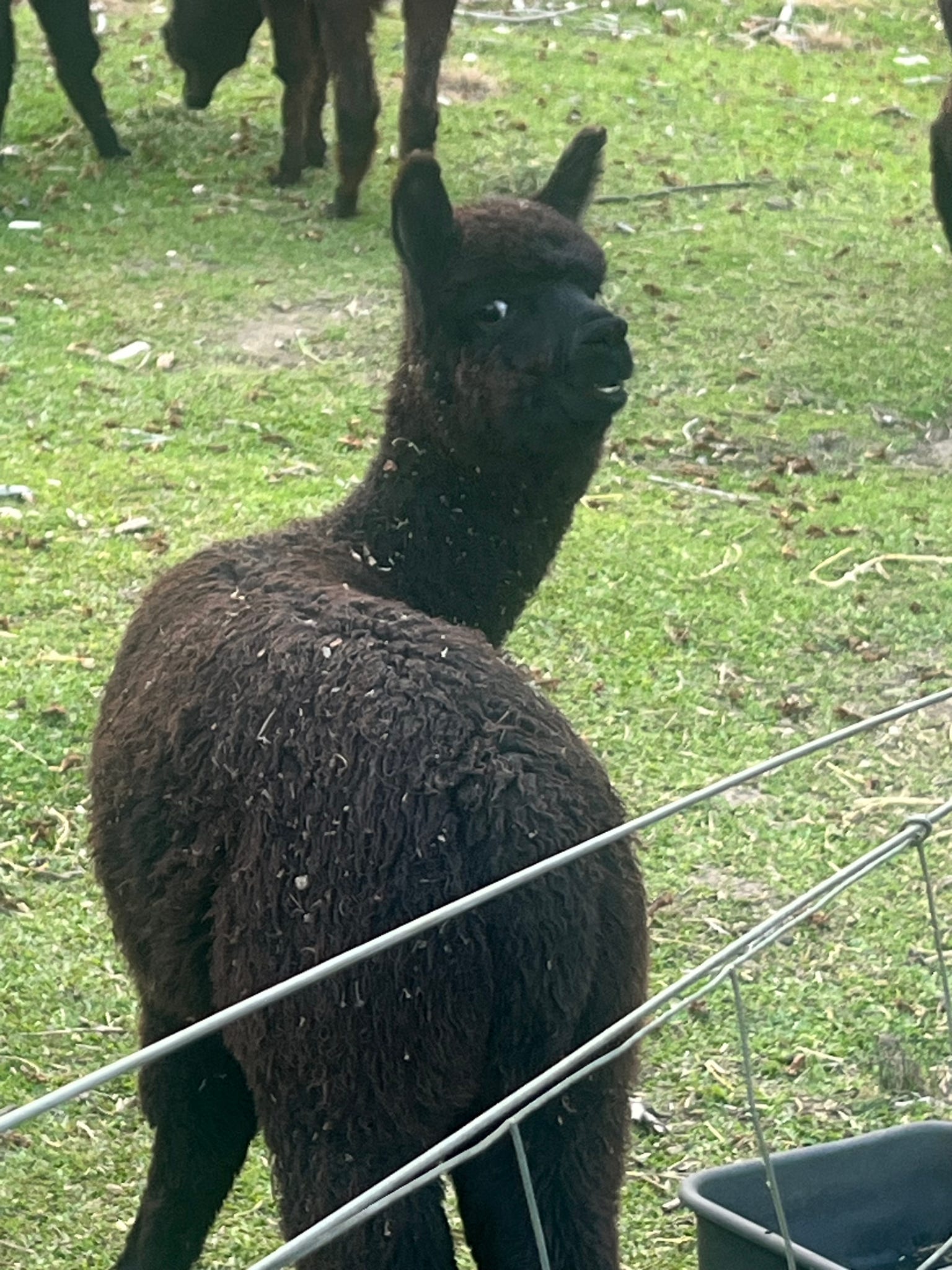 Just chatting - by Greg Carman - Greg’s Substack