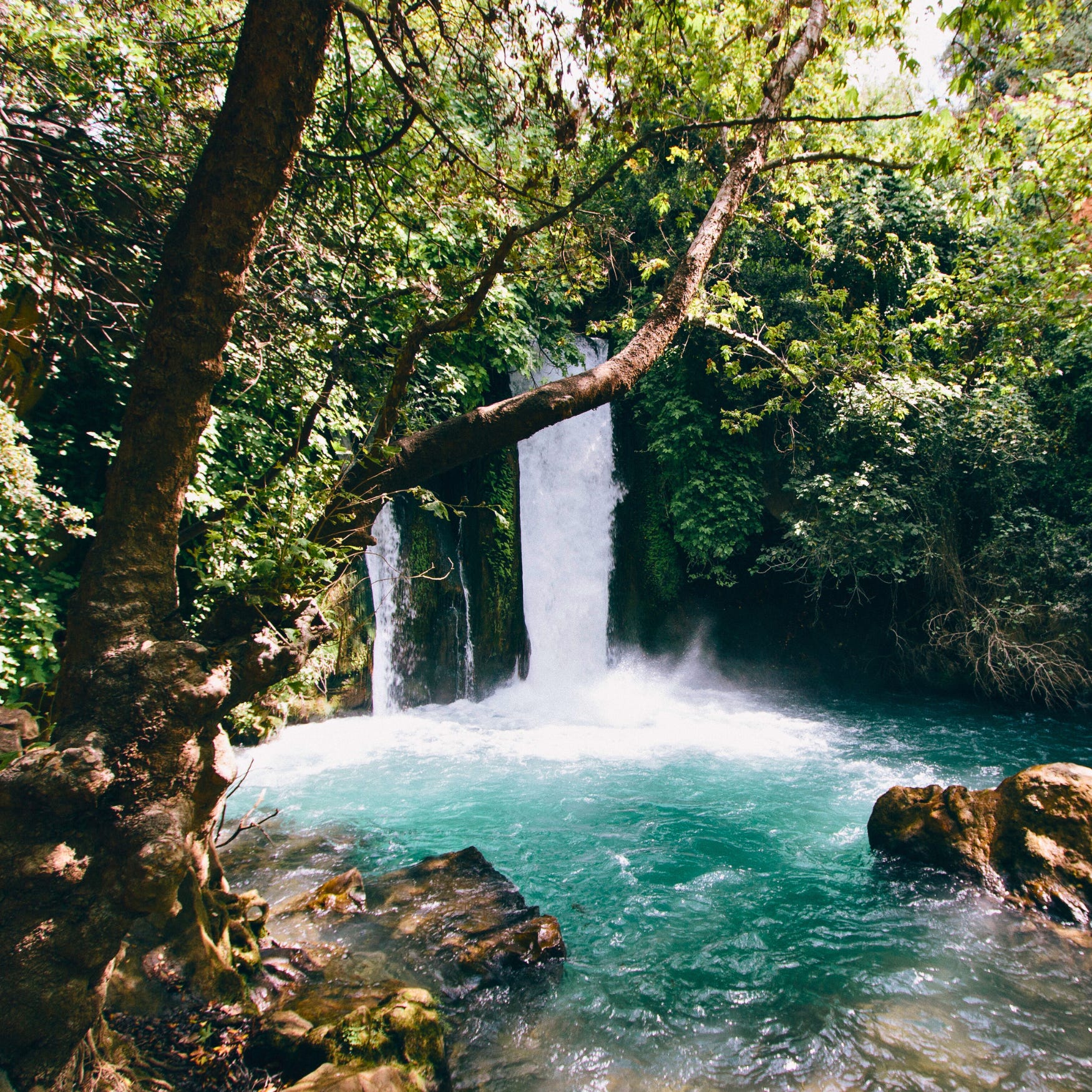 v. Wellspring Directory - Mel’s Substack