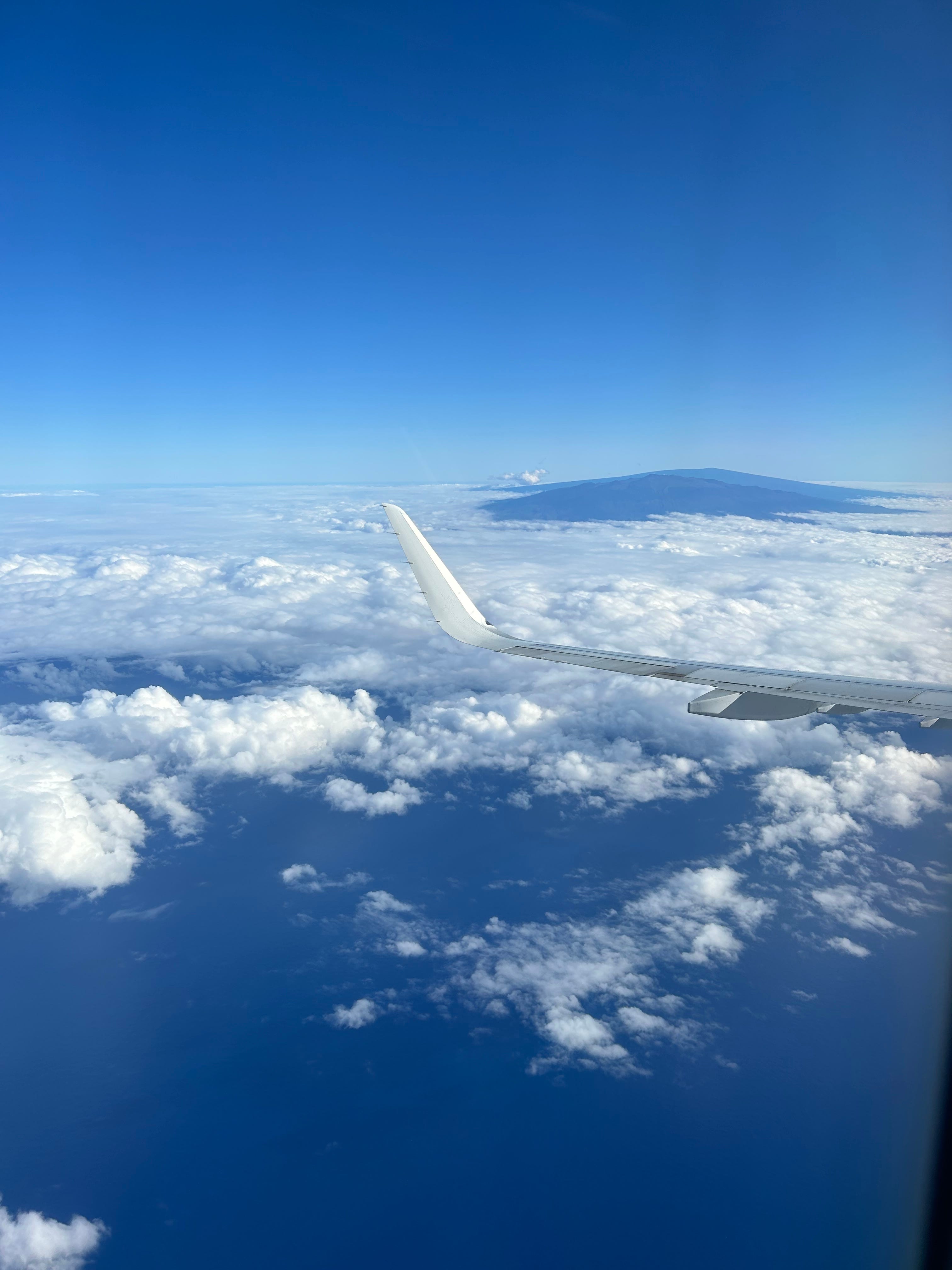 The Hawai'i Notebooks: Introduction - by Aidan Fitzsimons