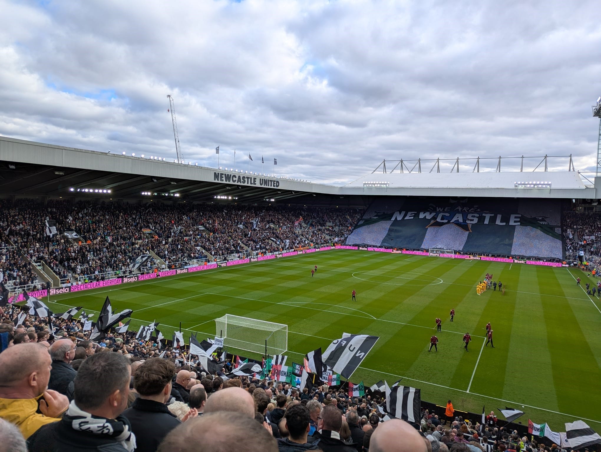 TF Player Ratings - Brighton (H - FA Cup) - by Yousef Hatem