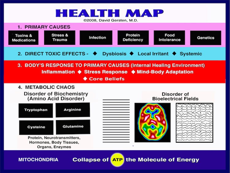 DIAGNOSIS THROUGH THE HEALTH MAP - by David Gersten MD