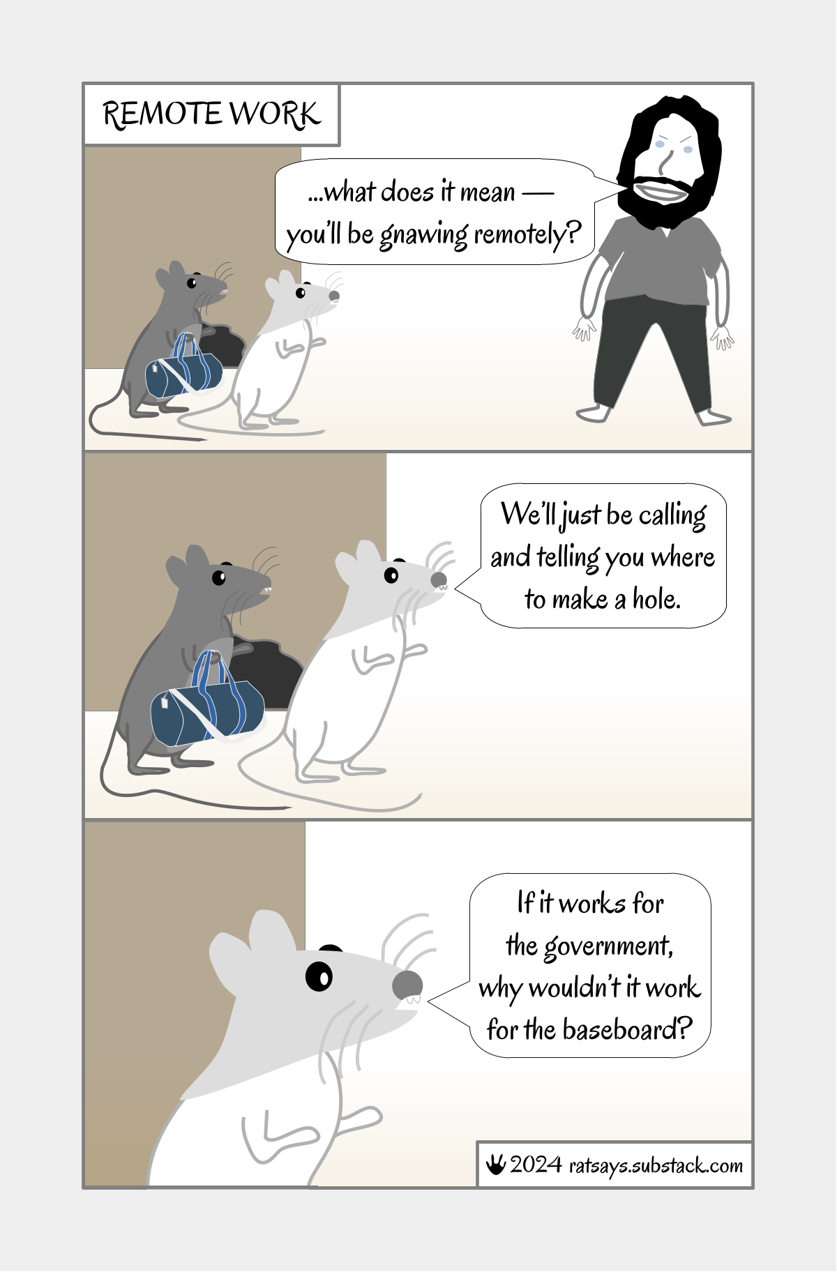 Remote Work - Rat Says