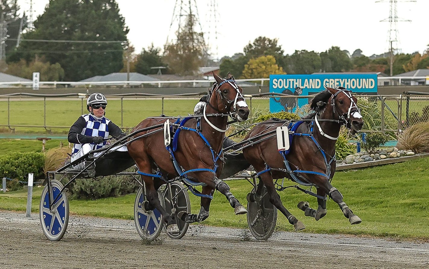 Harness Racing: Jonny Turner's five horses to follow