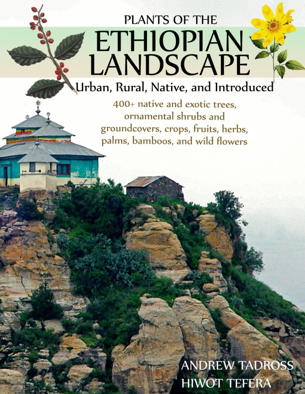 Plants of the Ethiopian Landscape, by Andrew Tadross (Ethiopia 2011-13 ...