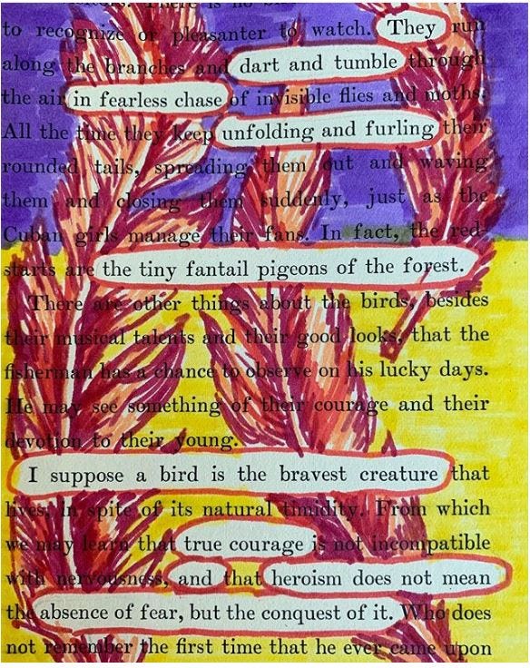 Ink & Imagination: Creating with Blackout Poetry