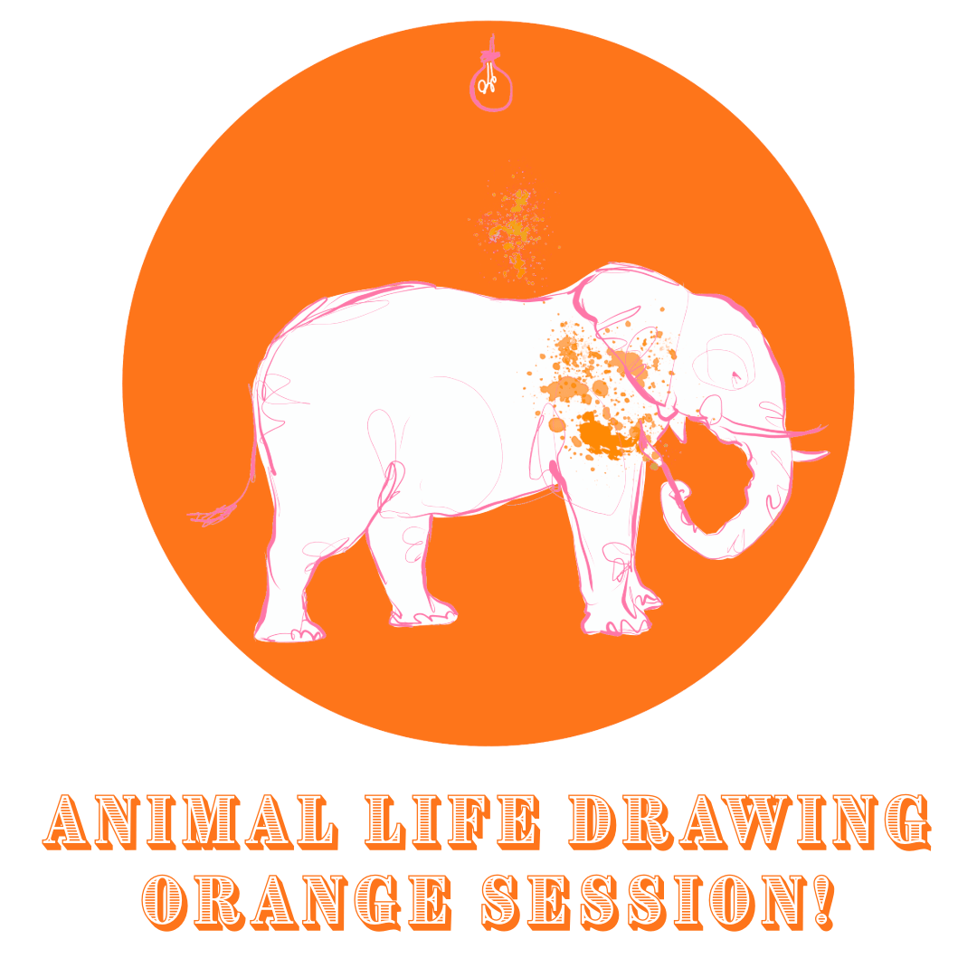Animal Life Drawing Starting Soon! - by Holly Surplice