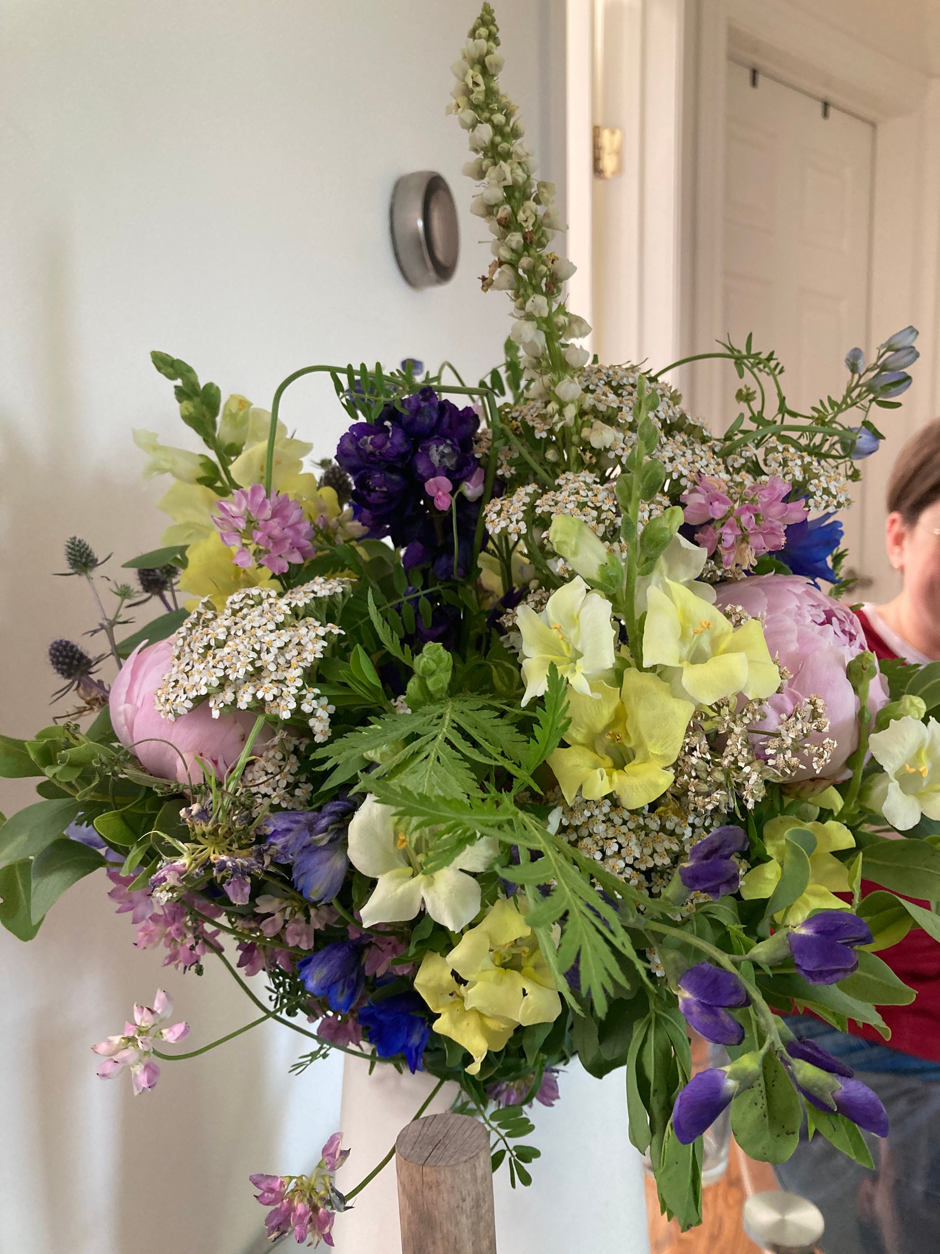 Obsessions This Week: June 9–15, 2024 - by Hope Rehak