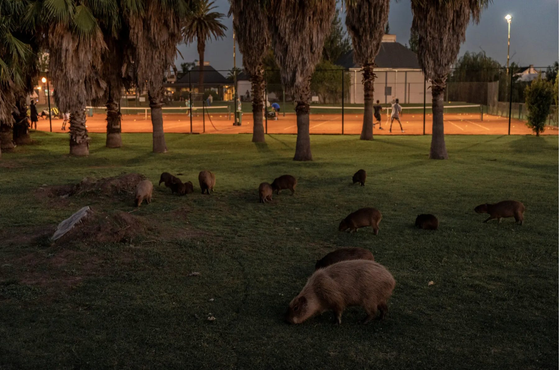 Argentina's sweetheart loan. The pope who lost his country ...