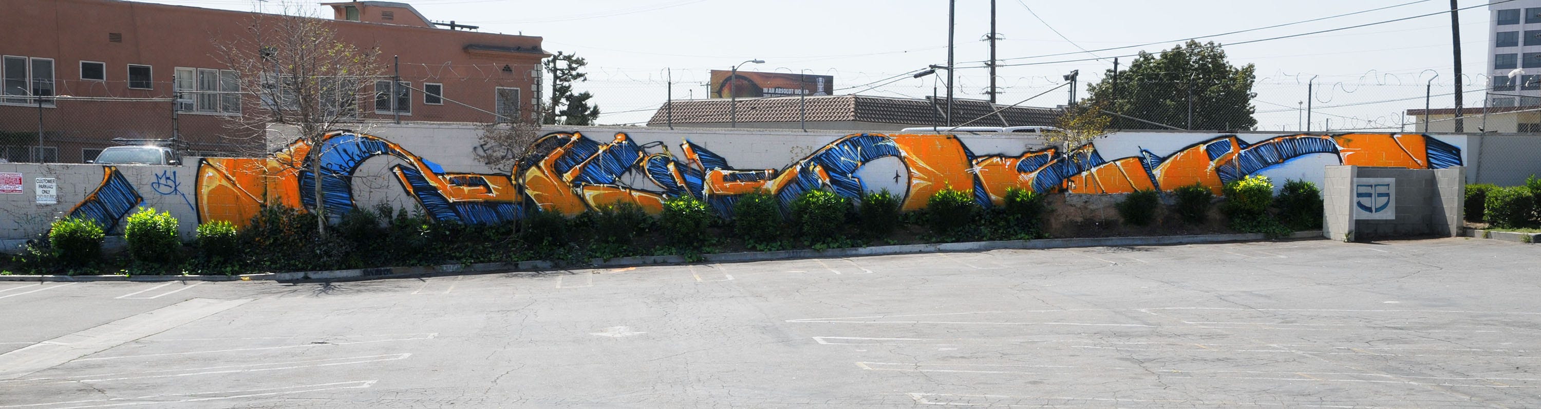 Steve Grody's Graffiti Files - Steve Grody's Graffiti Files