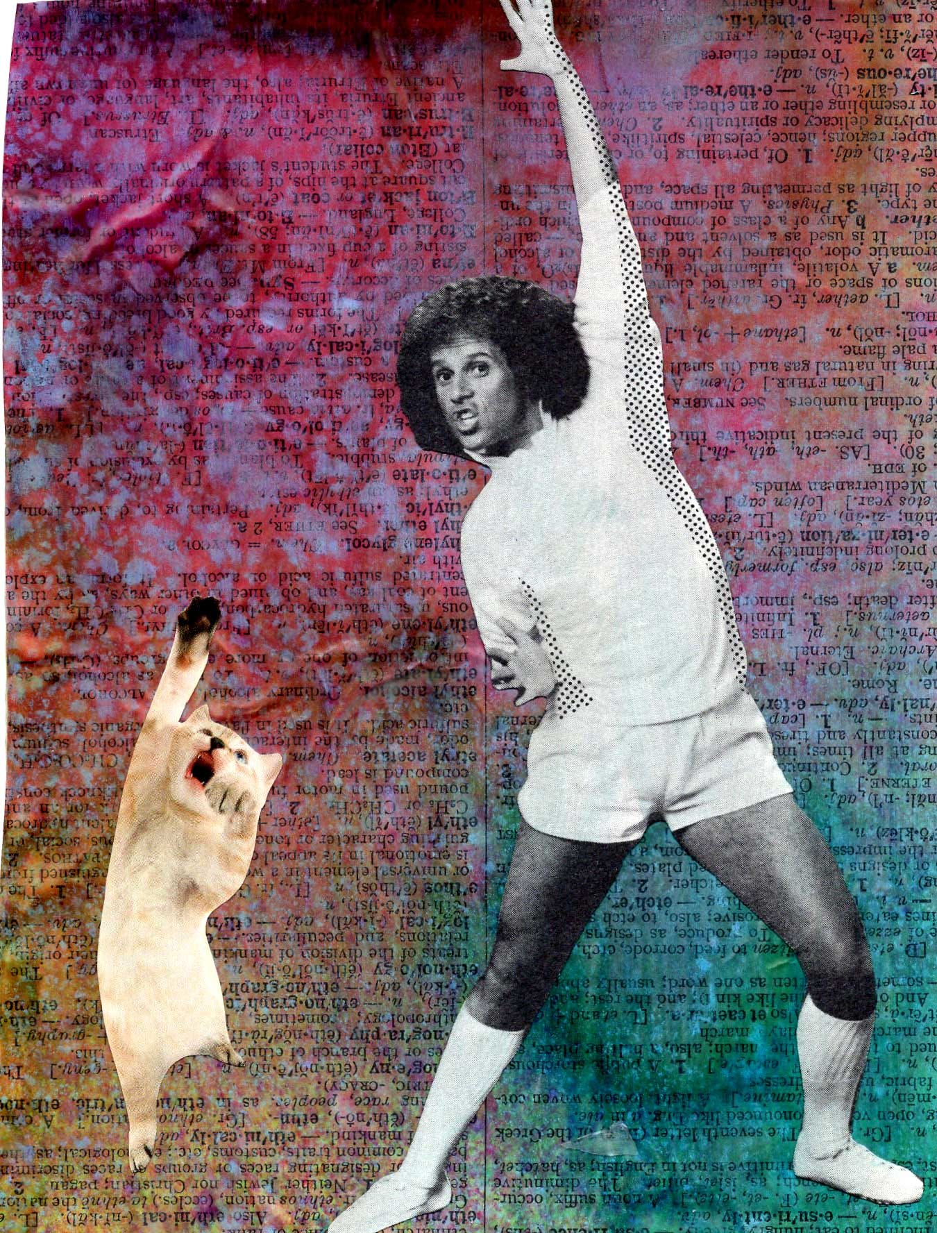 Richard Simmons exercising with cats - by Jen Russell