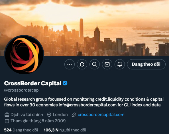 Tóm tắt stream với Michael Howell - Founder Crossborder Capital