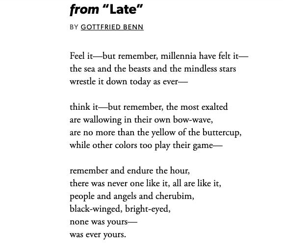 Poems for Your Weekend - by Maya C. Popa - Poetry Today