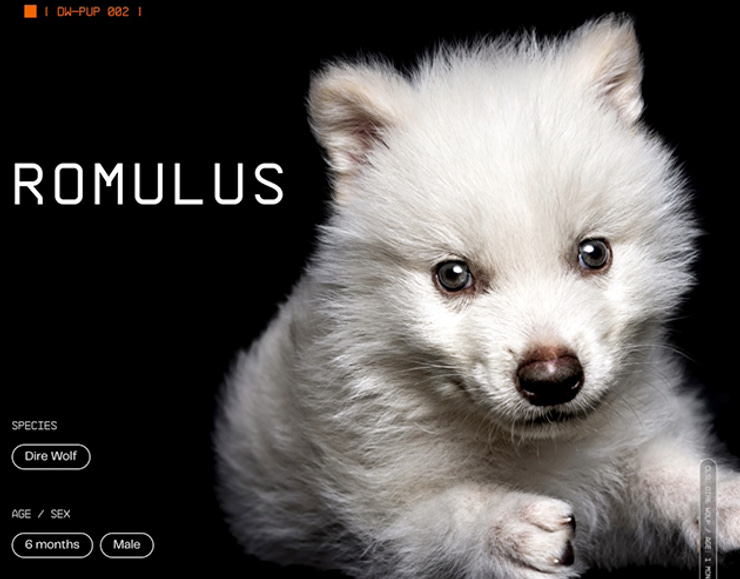 Dire wolves and the age of miracles