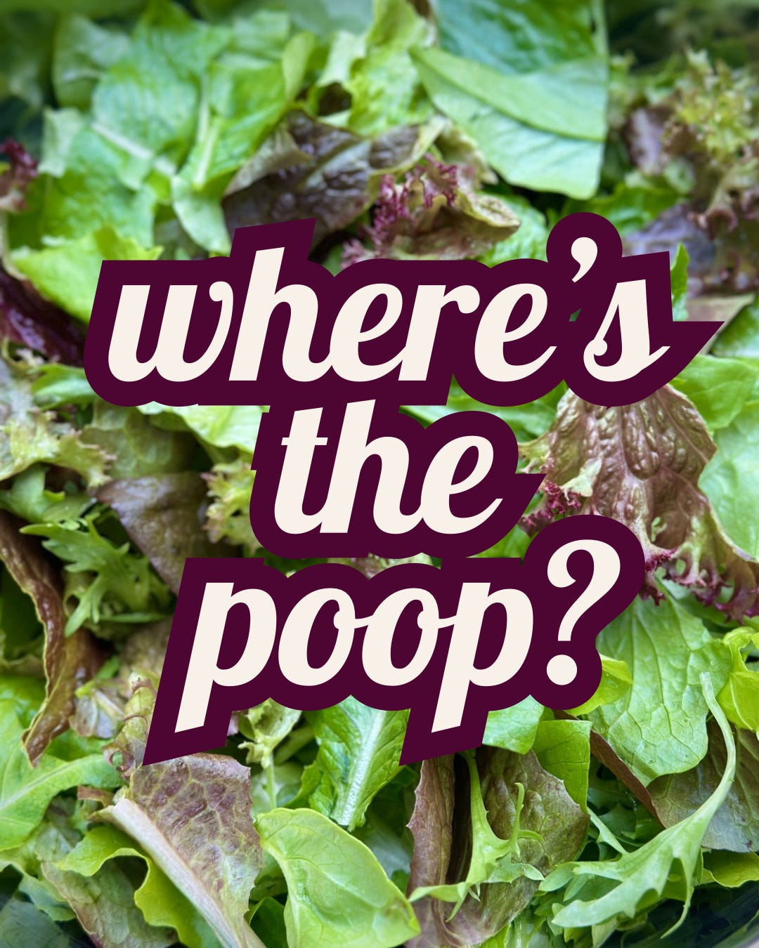 Everything Has Poop On It - by Michelle Albanes-Davis