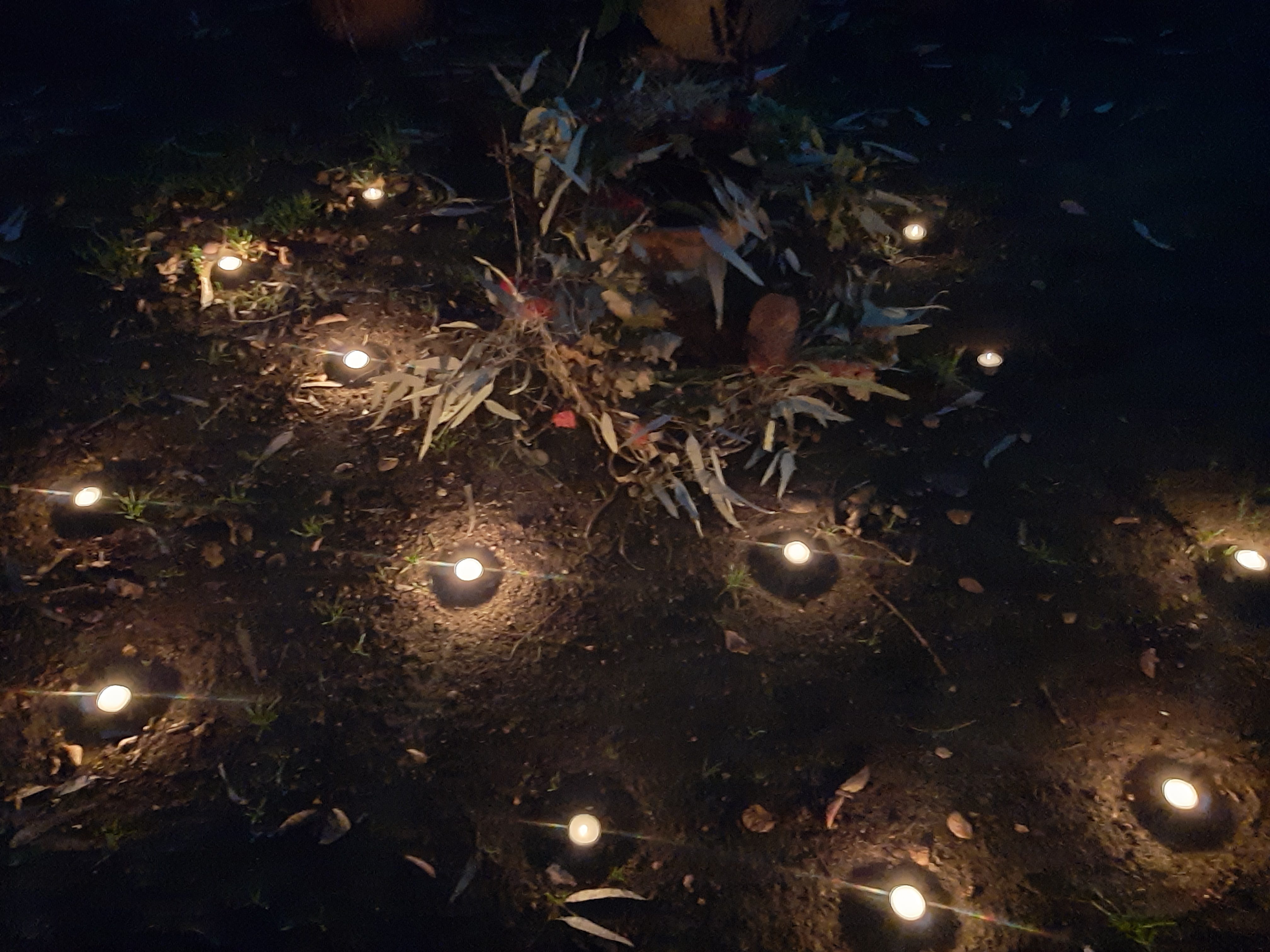 It's Samhain - by Conversations - Sally Riddell