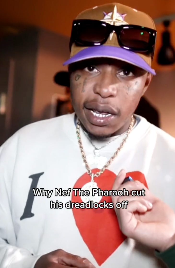 Nef the Pharaoh's Post-Haircut Nisus - by Alan Chazaro