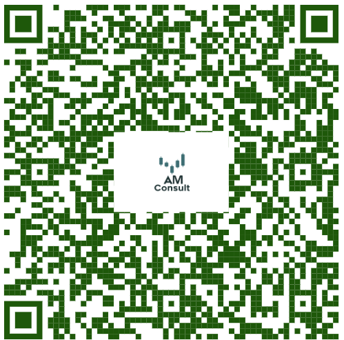 AM Consult, Tu Aliado Financiero - AM Consult