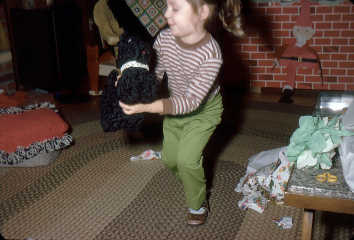 The Ugly Duckling - by Jane Deegan - Jane Sez...