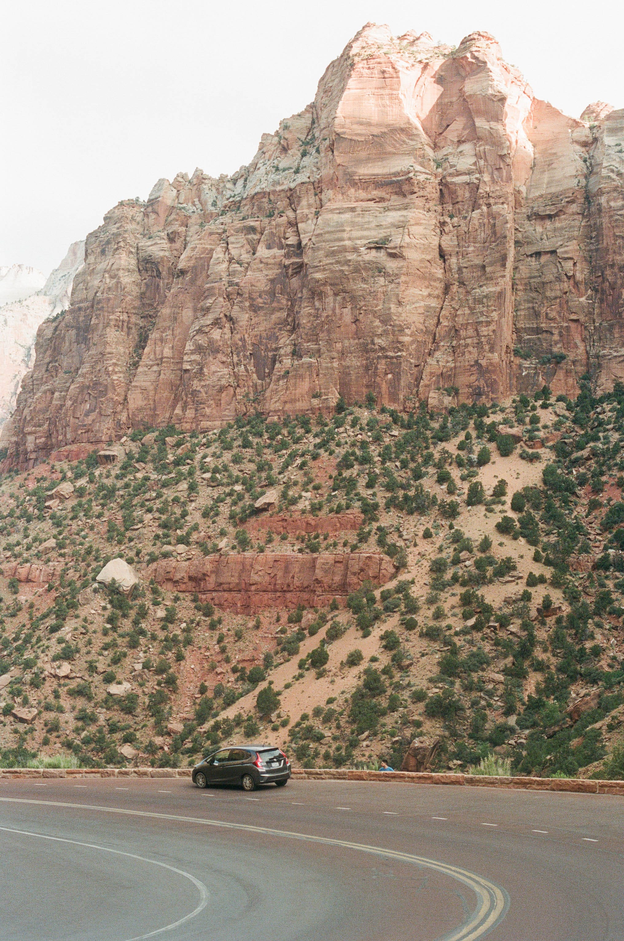 Wow, wow, wow - by Mallory Gardner - Mallory’s Substack