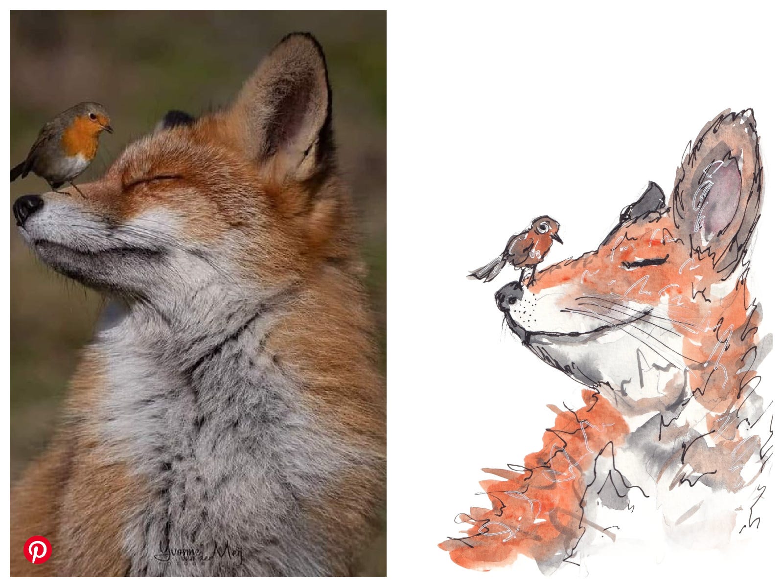 04. Dino-mite Reads & Sketchy Animals