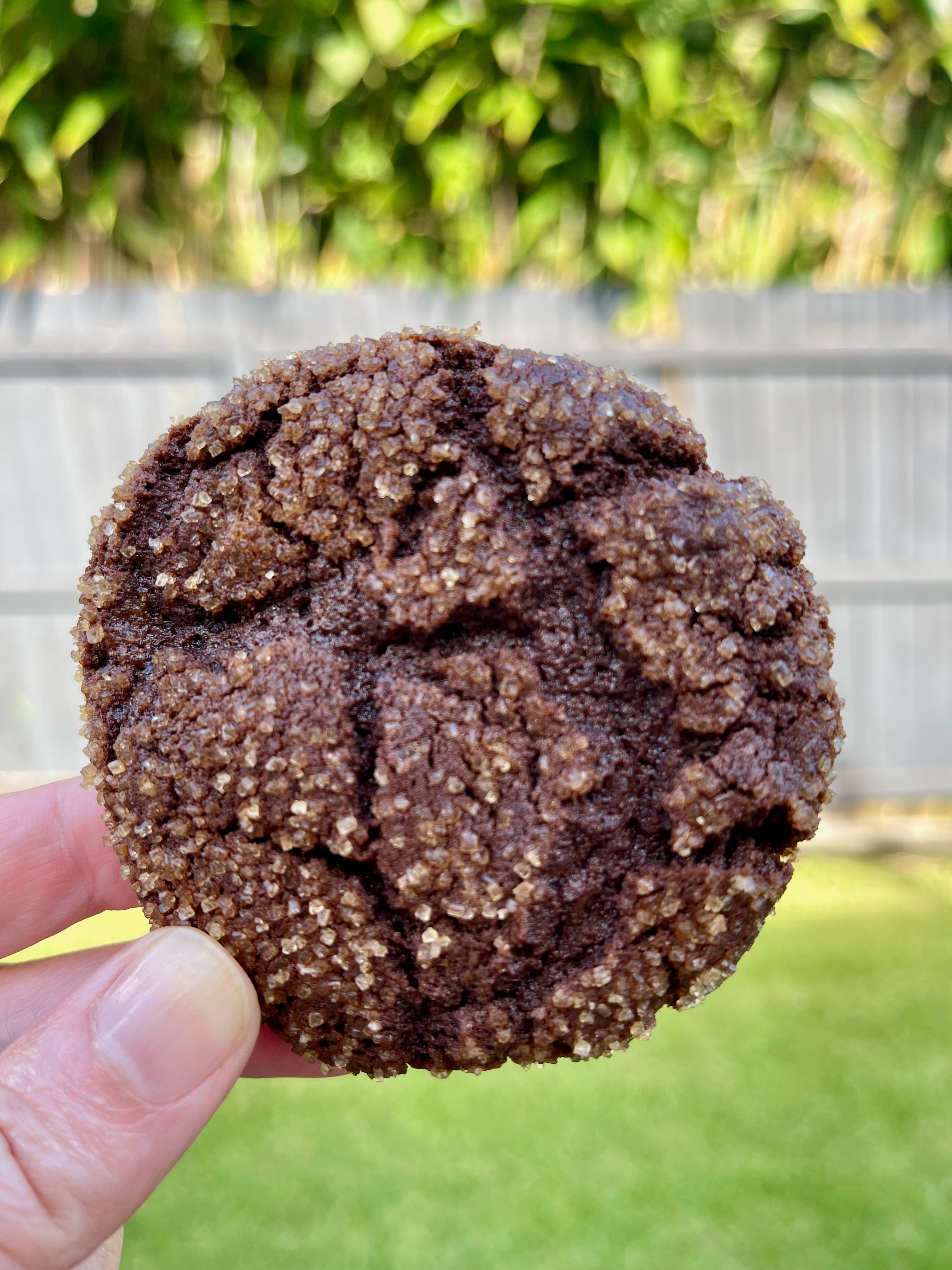 Chocolate Ripple Cookies