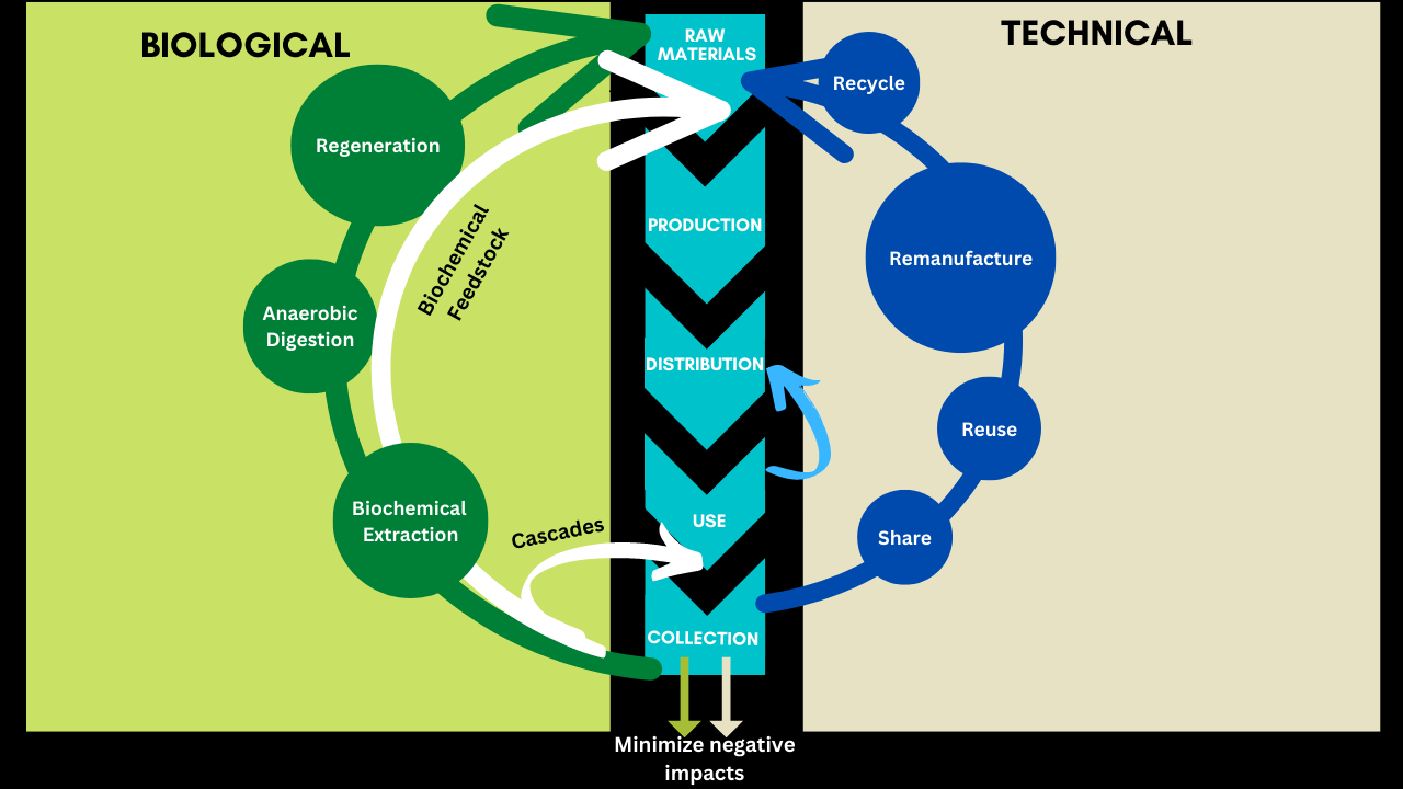 Unlocking sustainability: 3 Circular Economy principles