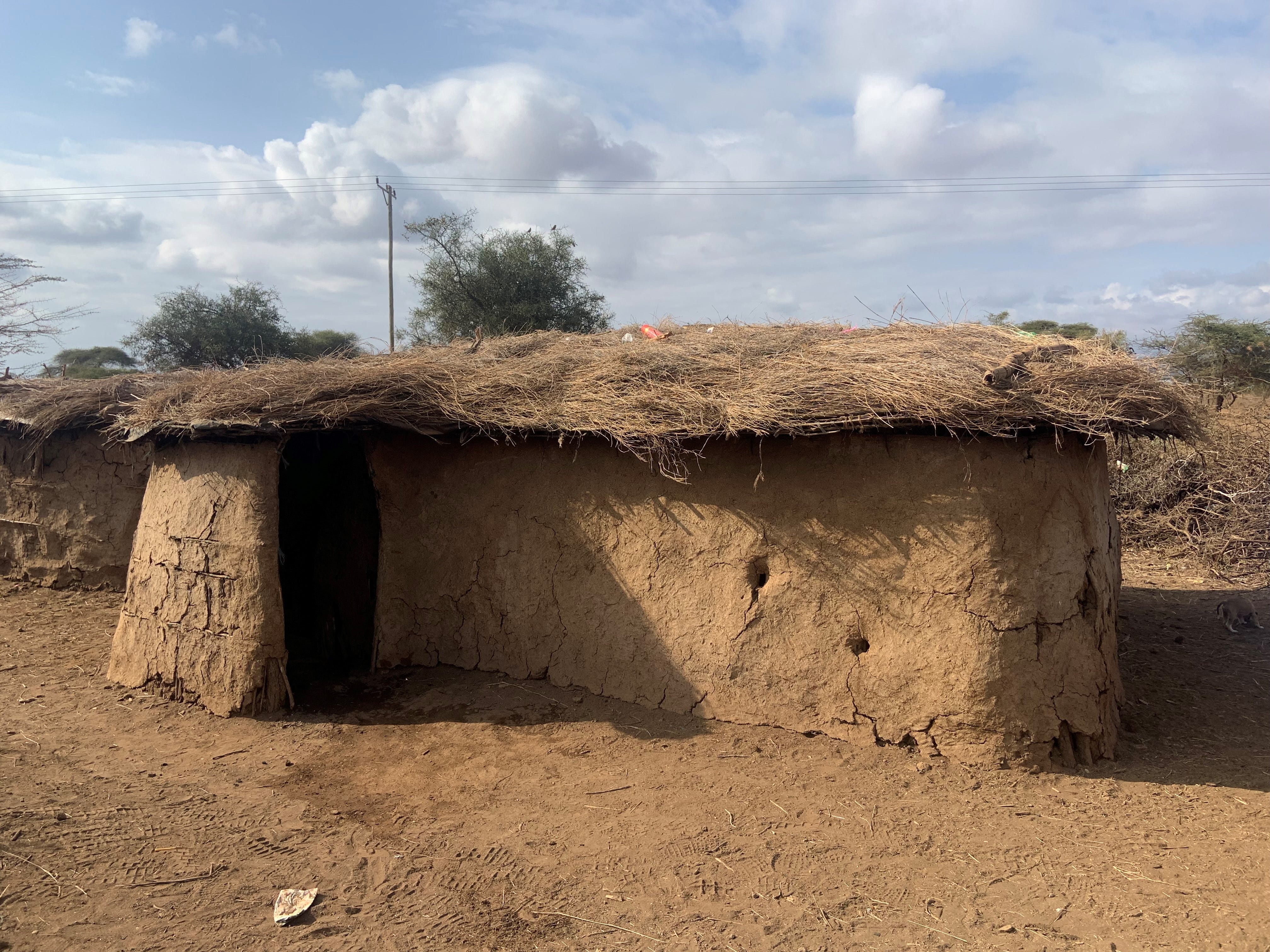 Week 1: toilets, poop, and wild animals - by Ale Treviño