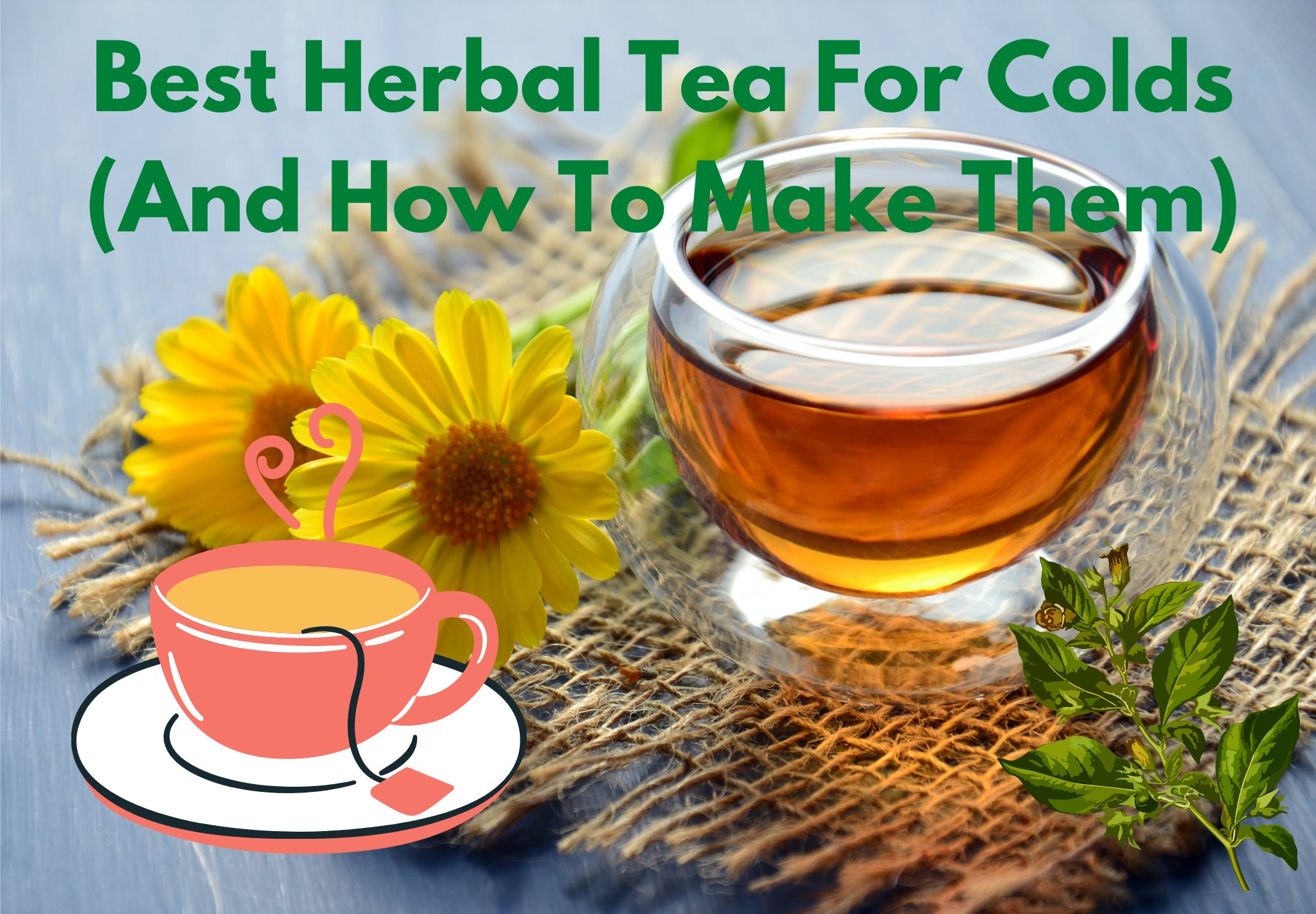 Best Herbal Tea For Colds (And How To Make Them)