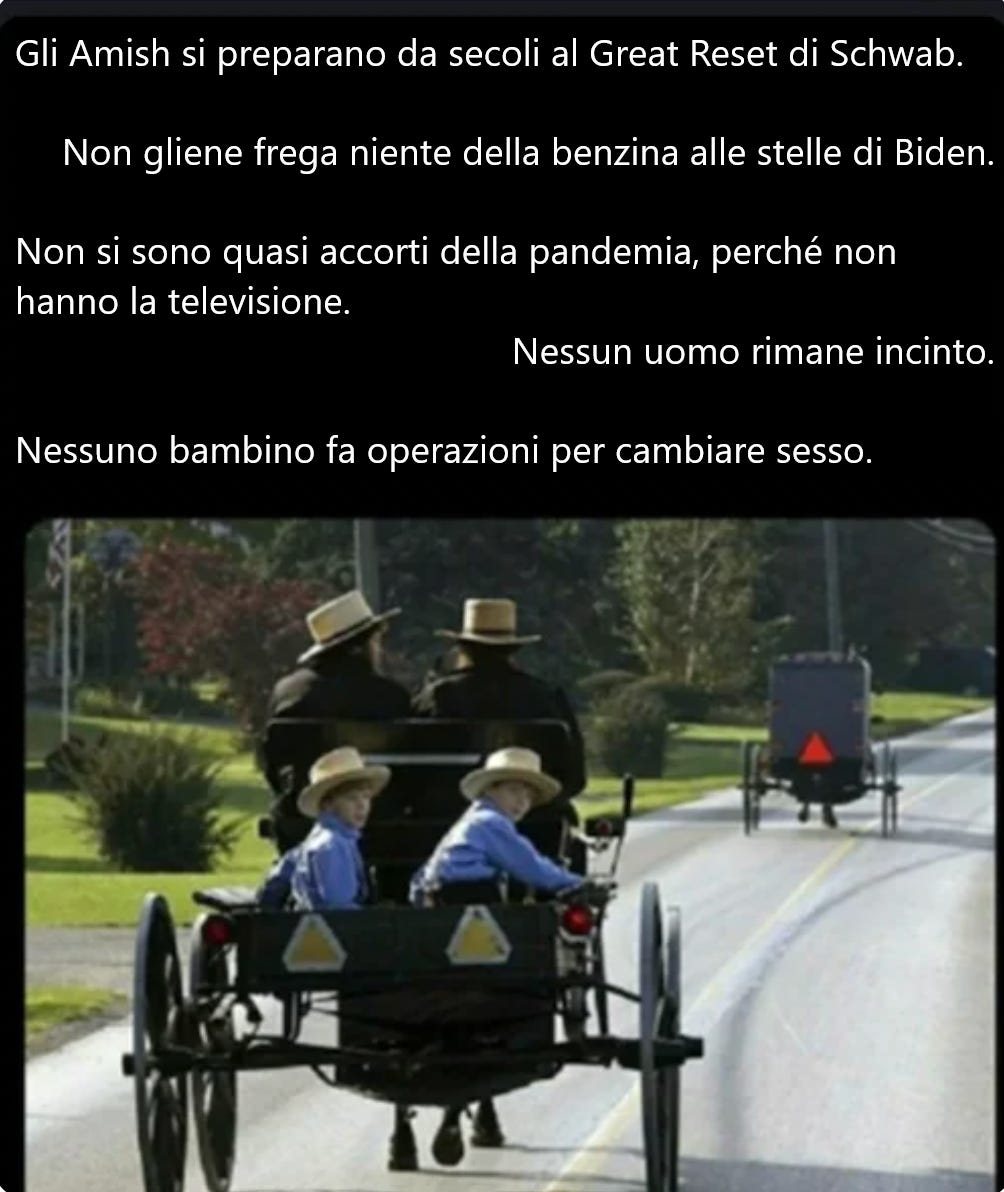 Tradu-Vignette alla riscossa.. - by Daniela Brassi - TdML