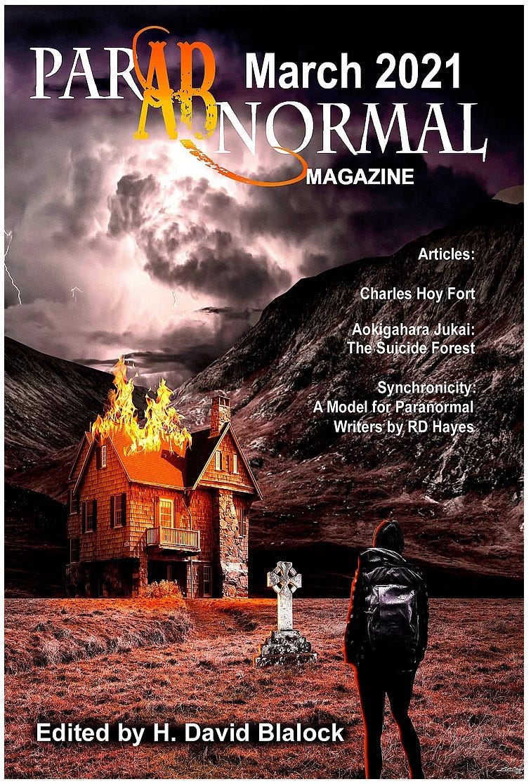 Mysteries of Mental Illness - by Randall Hayes