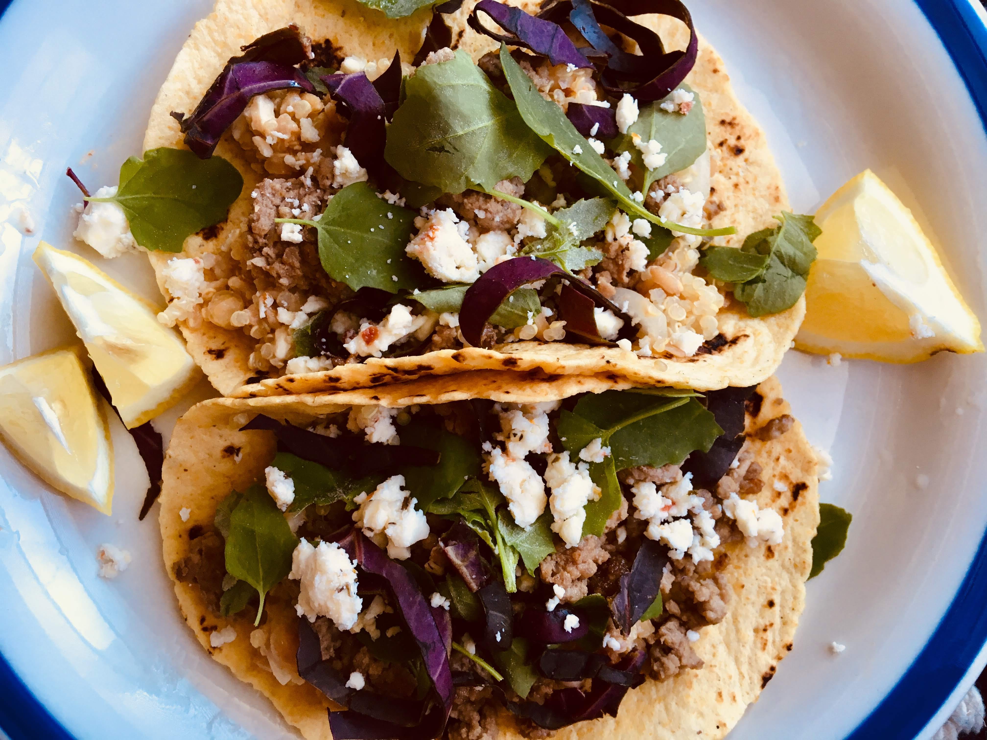 Weed tacos - by Kate - Missoula Observer