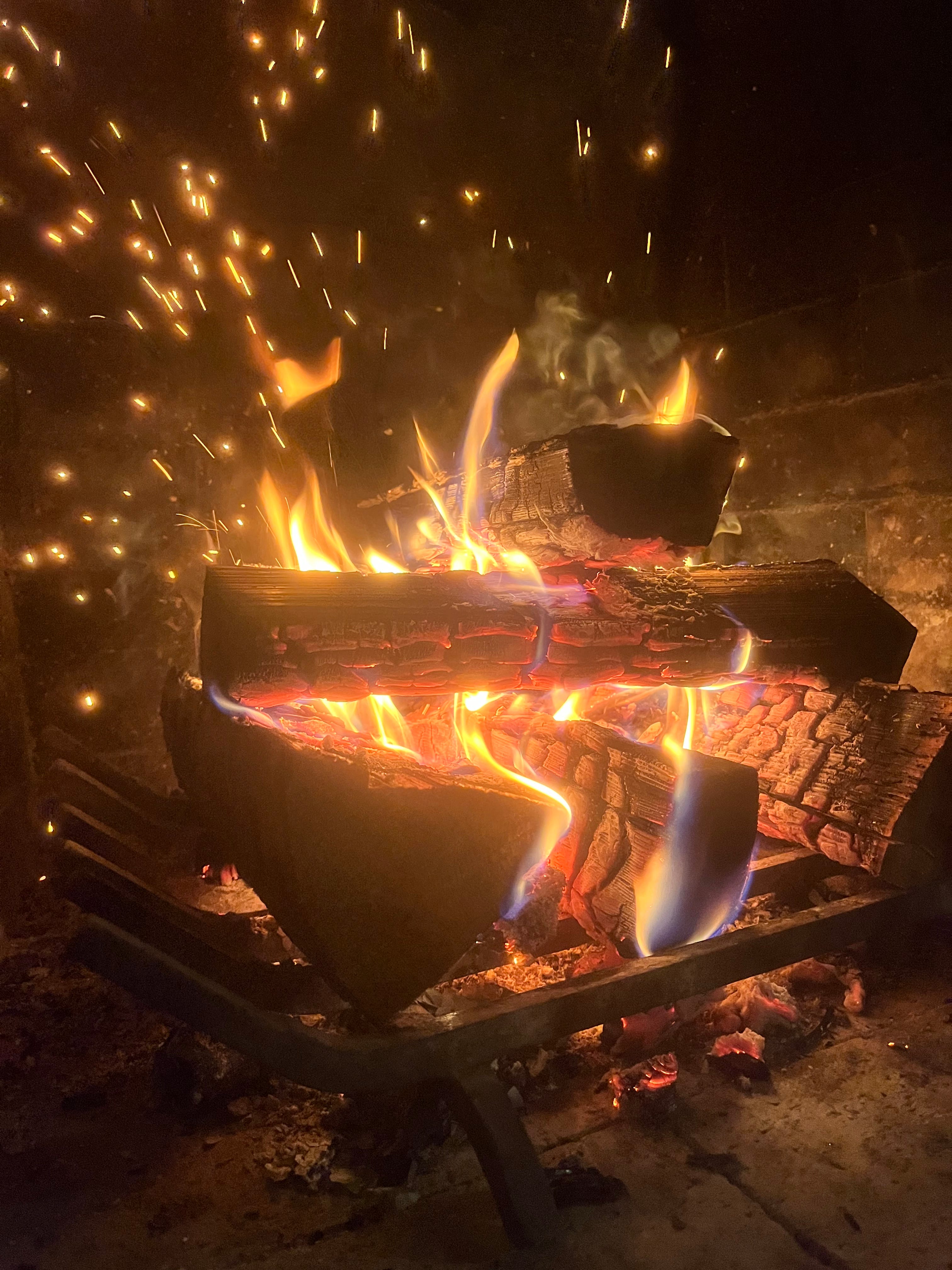 SPECIAL ISSUE #42 - by Tanja Boness