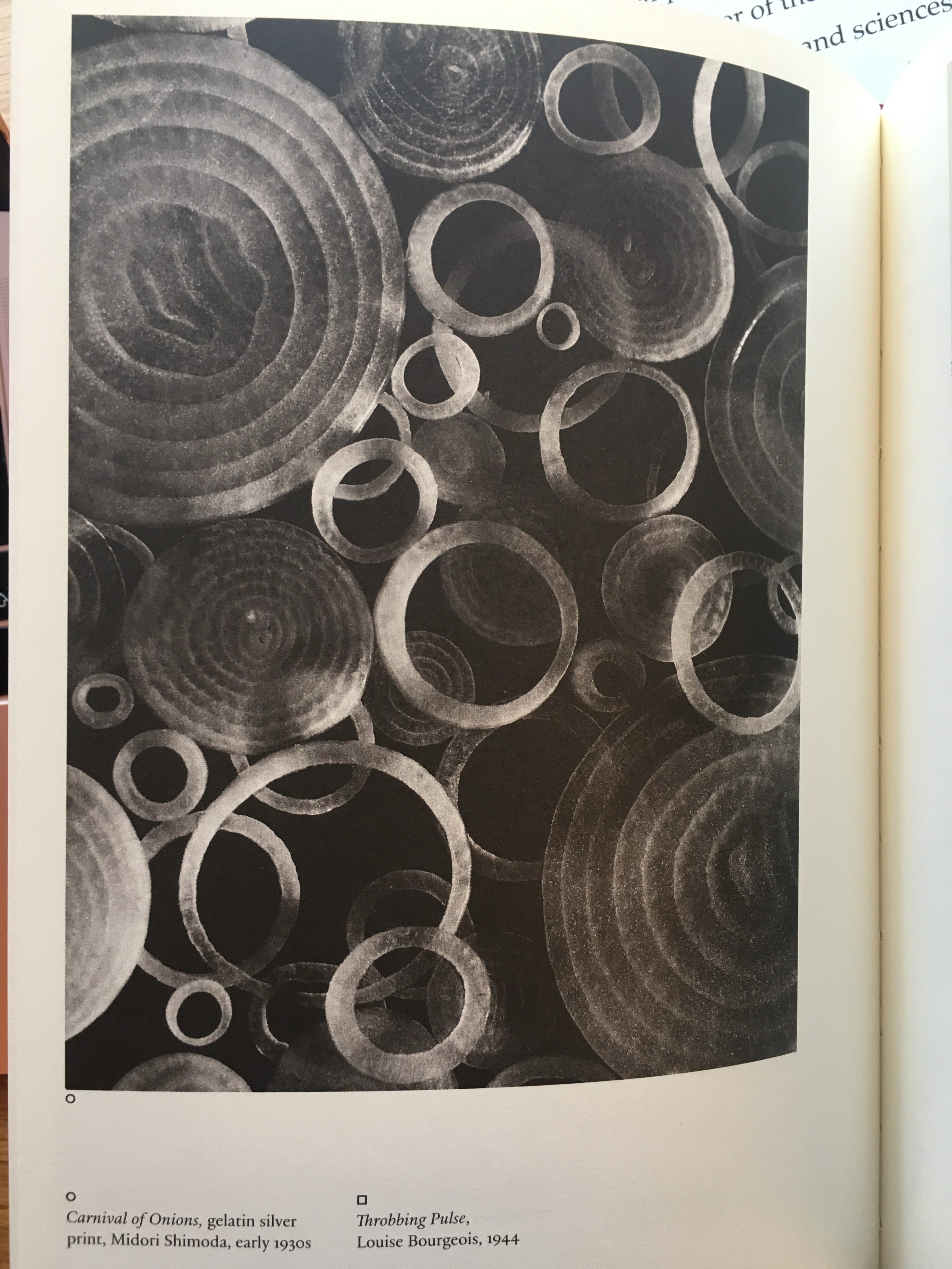 Book review: The Cosmic Dance, by Stephen Ellcock