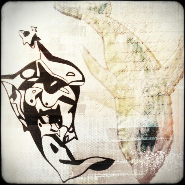 The Orca Highway - by Liz Kover - Lizz-Buzz