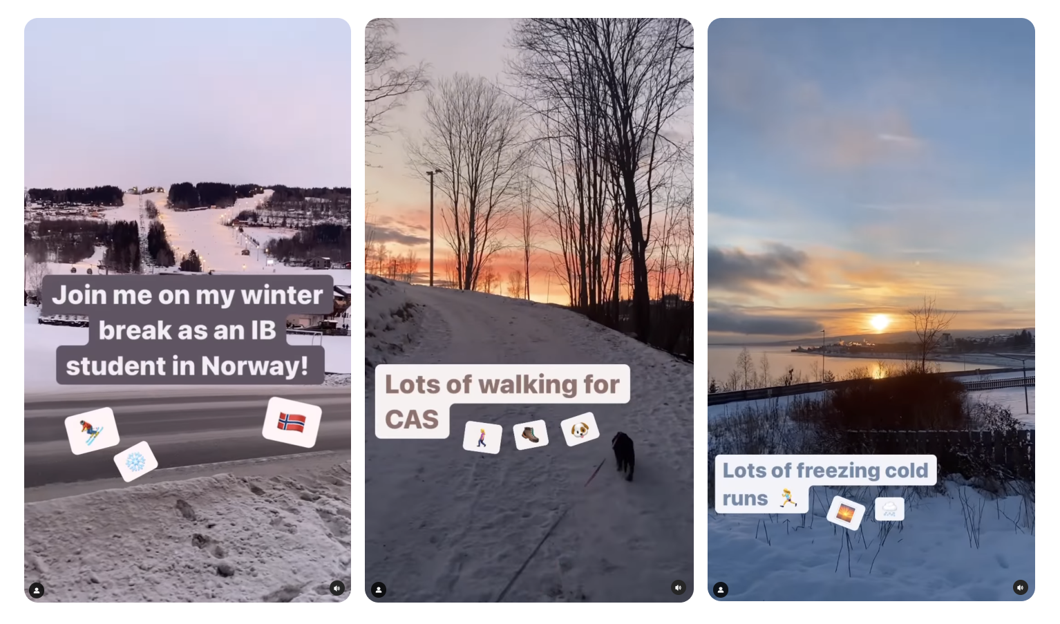 🎉 Announcing IBlieve's NEW Exec Directors & 2021 Impact Report! Team Milestones, Future Events ...