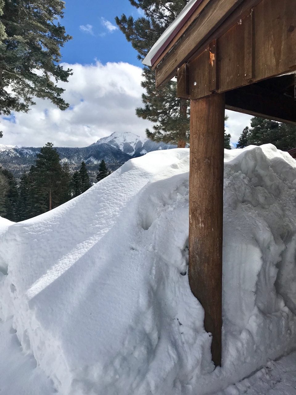 Photocouple Newsletter | Michael Glasgow | Substack