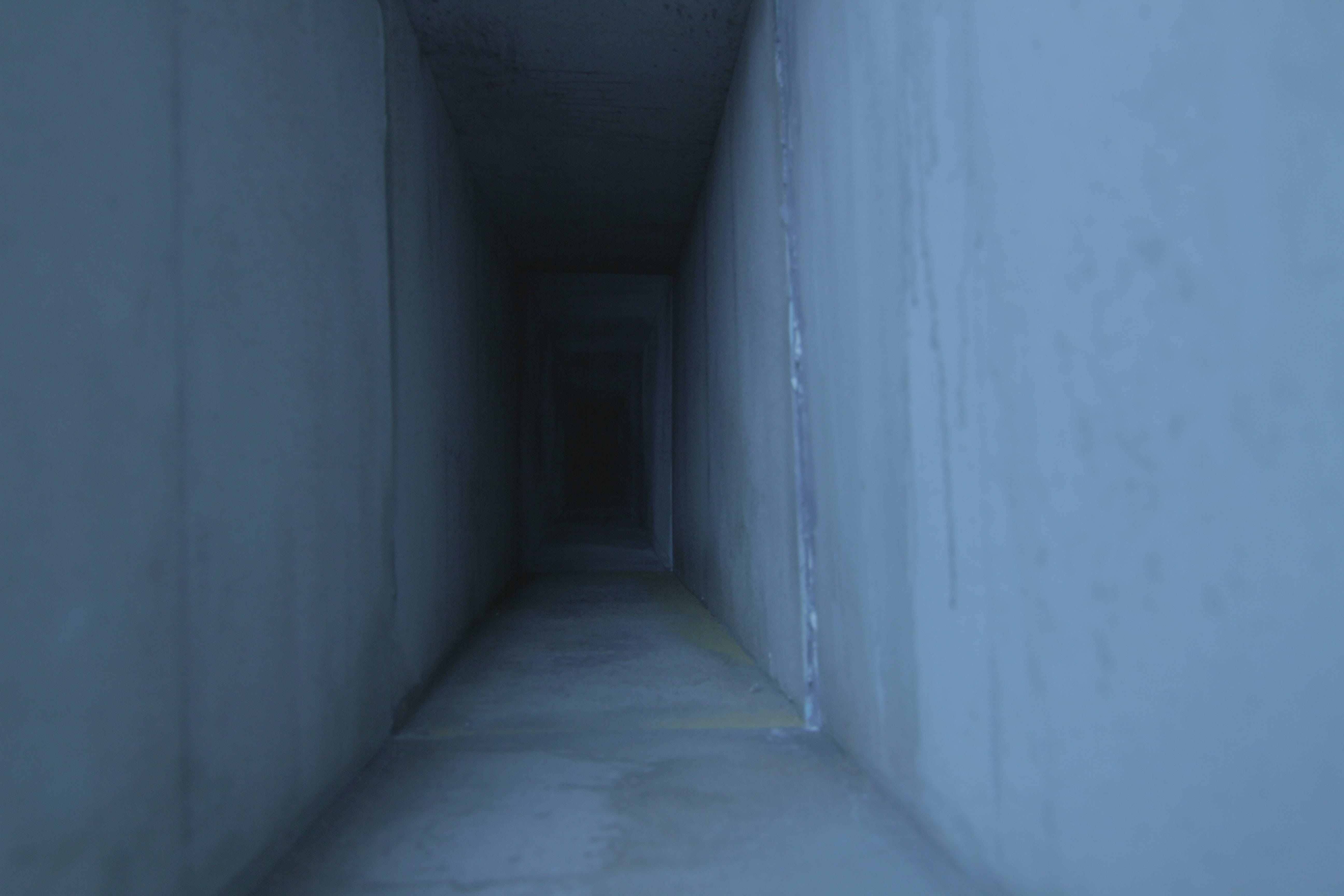 What Is The Quantum Terror? Part 3