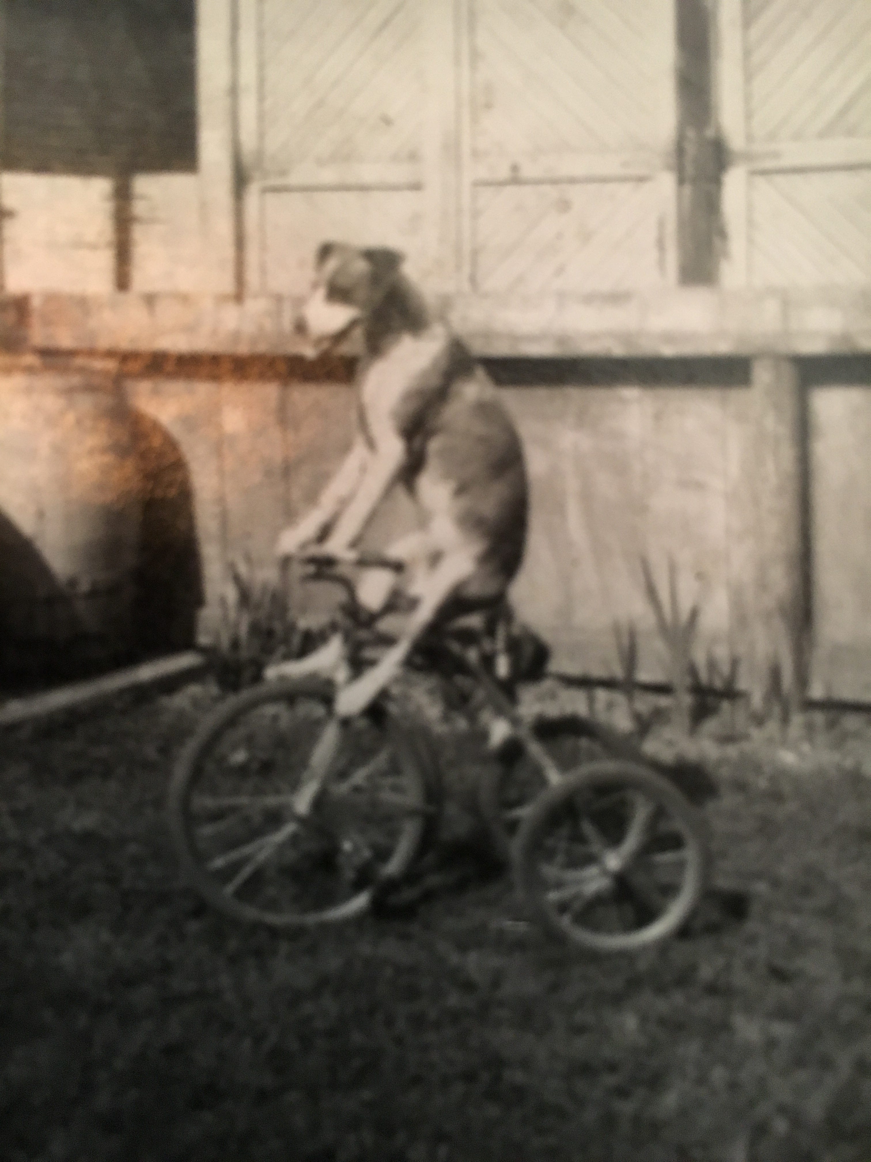 Oracle, Teradata, and Revenge of the Legacy Database Vendors