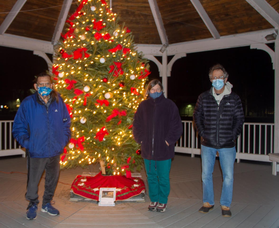 A History of the Norwich Lions Club Memory Tree and how it benefits the ...