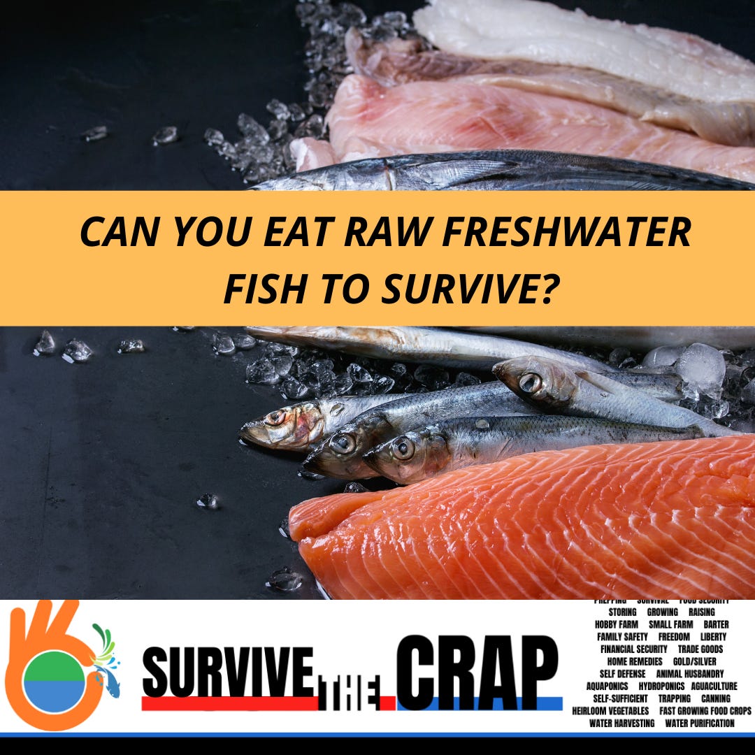 Can You Eat RAW Freshwater Fish to Survive?